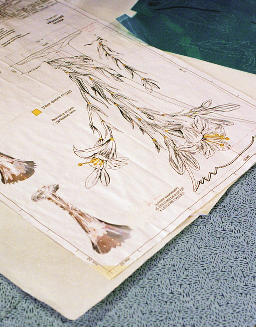 Eva Edelstein x Jean-Luc Bourgougnon